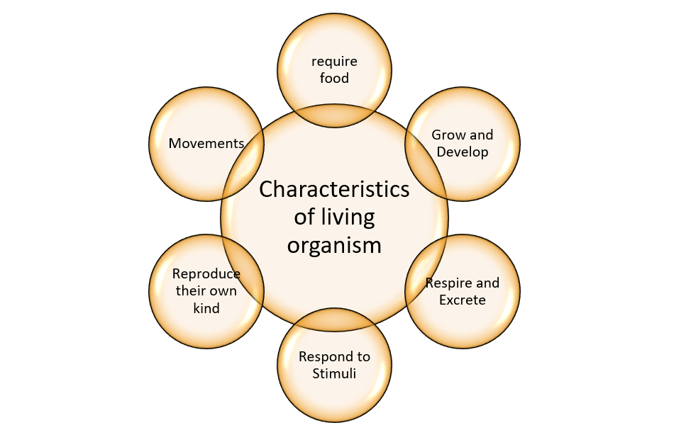 NCERT-Solutions-Class-6-Science-The Living Organisms Characteristics ...