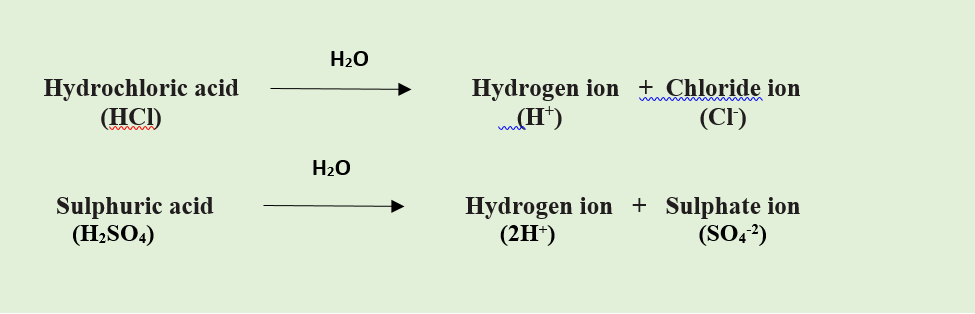 NCERT-Solution-Science-Class-7-Acids Bases and Salts
