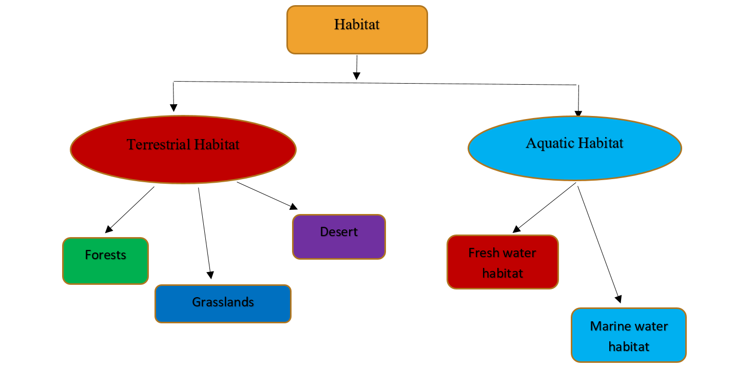 NCERT-Solutions-Class-6-Science-The Living Organisms Characteristics ...